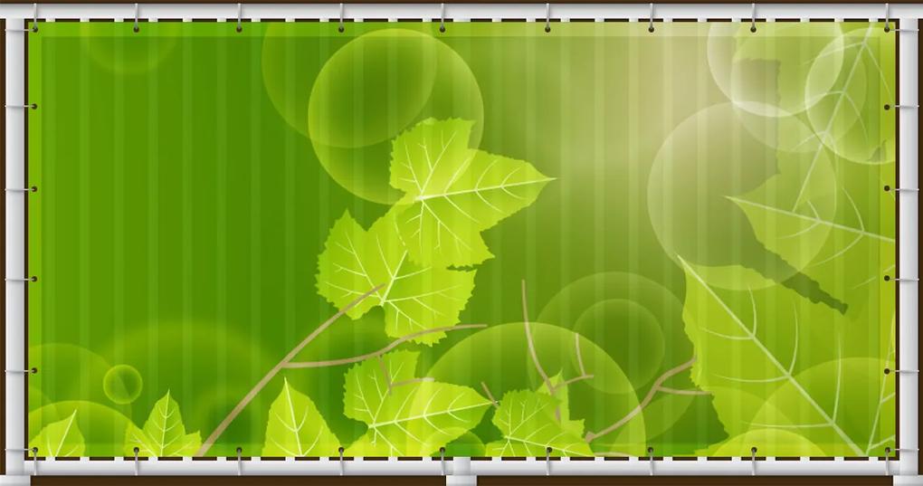 Zelené listí nabité pozitivní energií