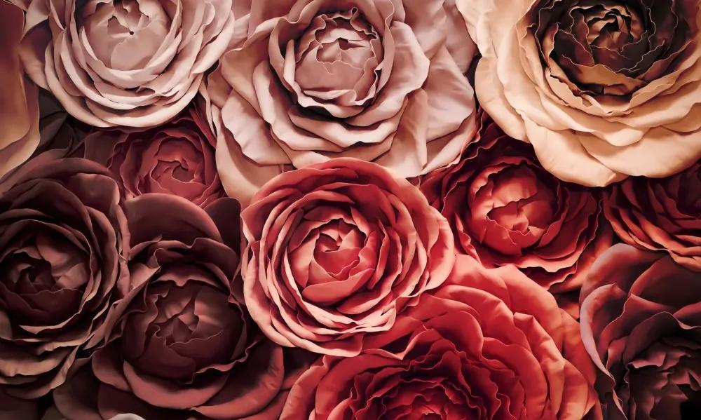 Vícedílný obraz Barevné Květiny Zblízka 3D Nedostatek Nedostatek Přírodní plátno 200x120