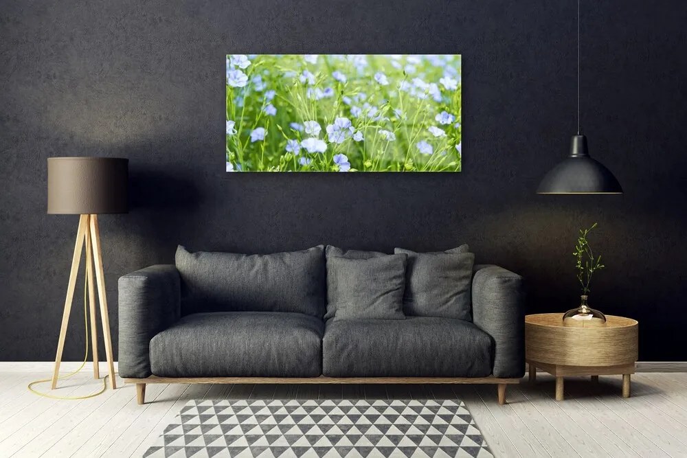 Obraz na skle Květiny Tráva Rostlina Příroda 100x50 cm