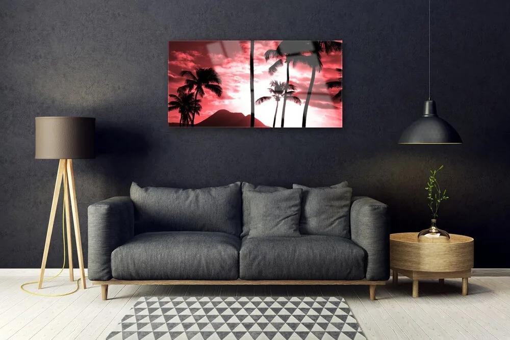 Obraz na skle Hora Palmy Stromy Příroda 100x50 cm