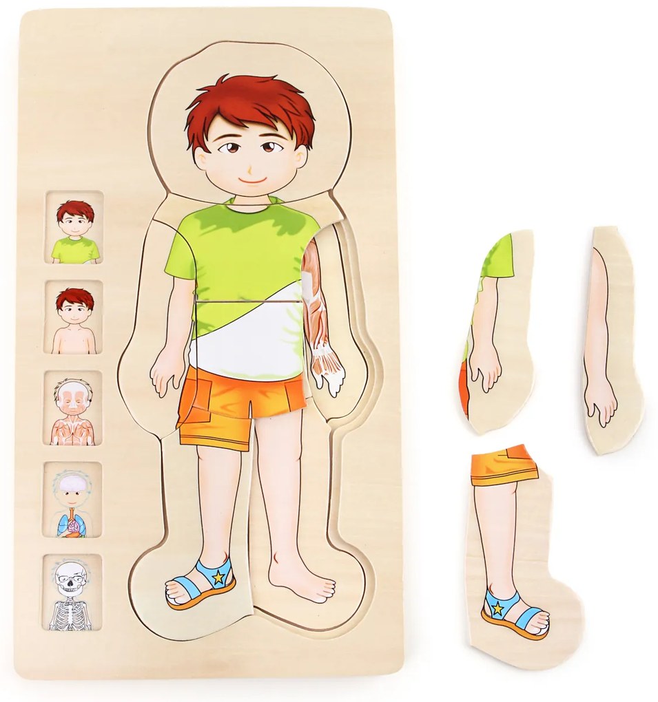small foot Dřevěné hračky puzzle anatomie Tim