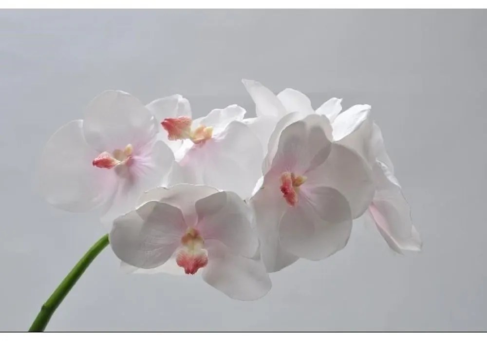 Silk-ka Orchidej Vanda sv.růžová 59 cm