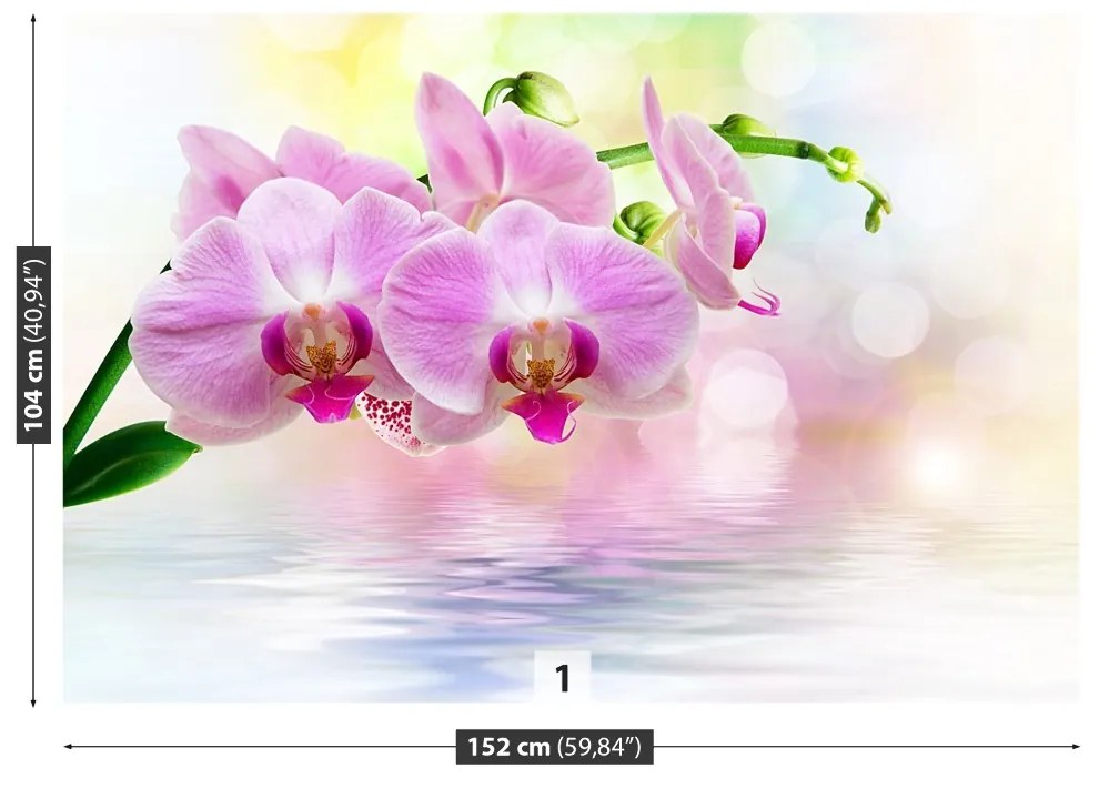 Fototapeta Orchidej růže 104x70