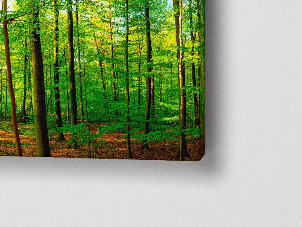 Liox Obraz les Rozměr: 250 x 100 cm