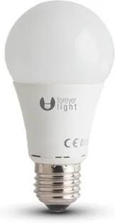 Forever LED žárovka A60 E27 10W / 806lm / 6000K / studená bílá (LZE27A6010WCW)