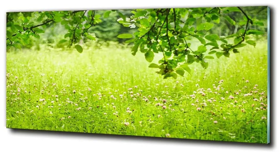 Wallmuralia Fotoobraz na skle zelená louka 125x50 cm