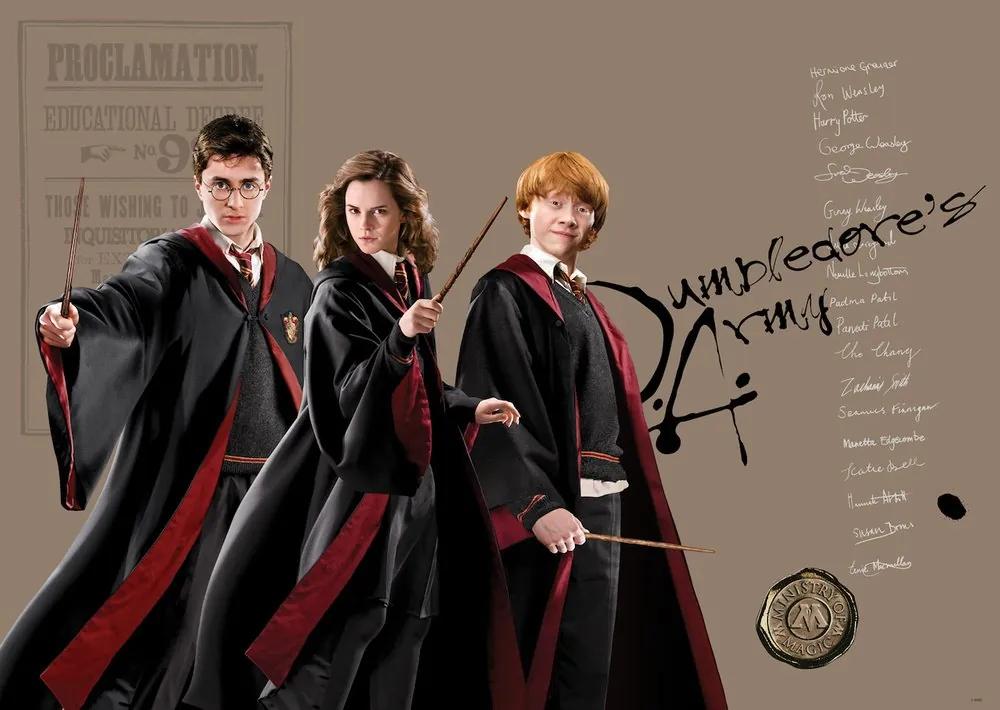AG Design vliesová fototapeta FTDM5295 Harry Potter 155 x 110 cm