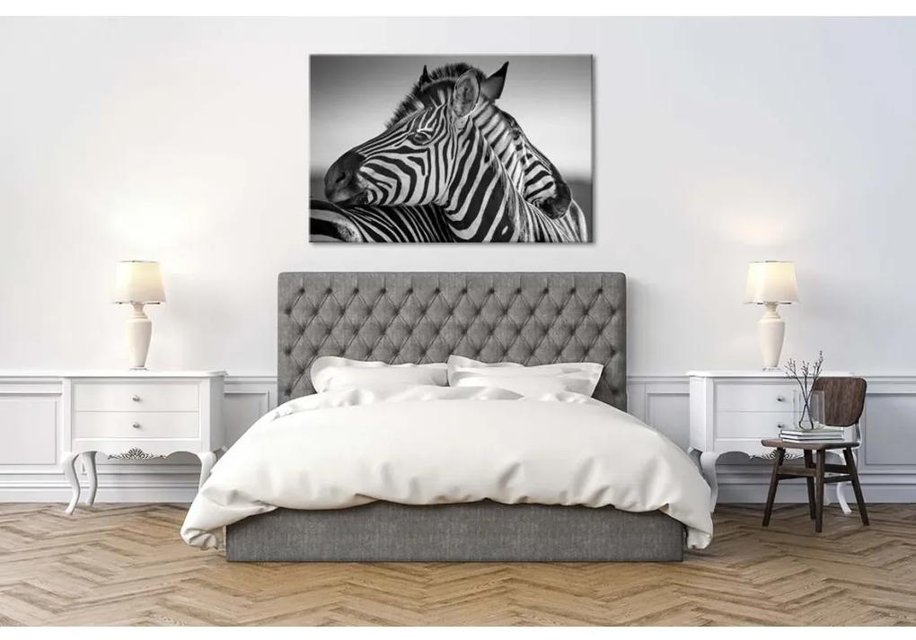 Malvis ® Obraz pruhovaná láska - černobílá Velikost: 60x40 cm