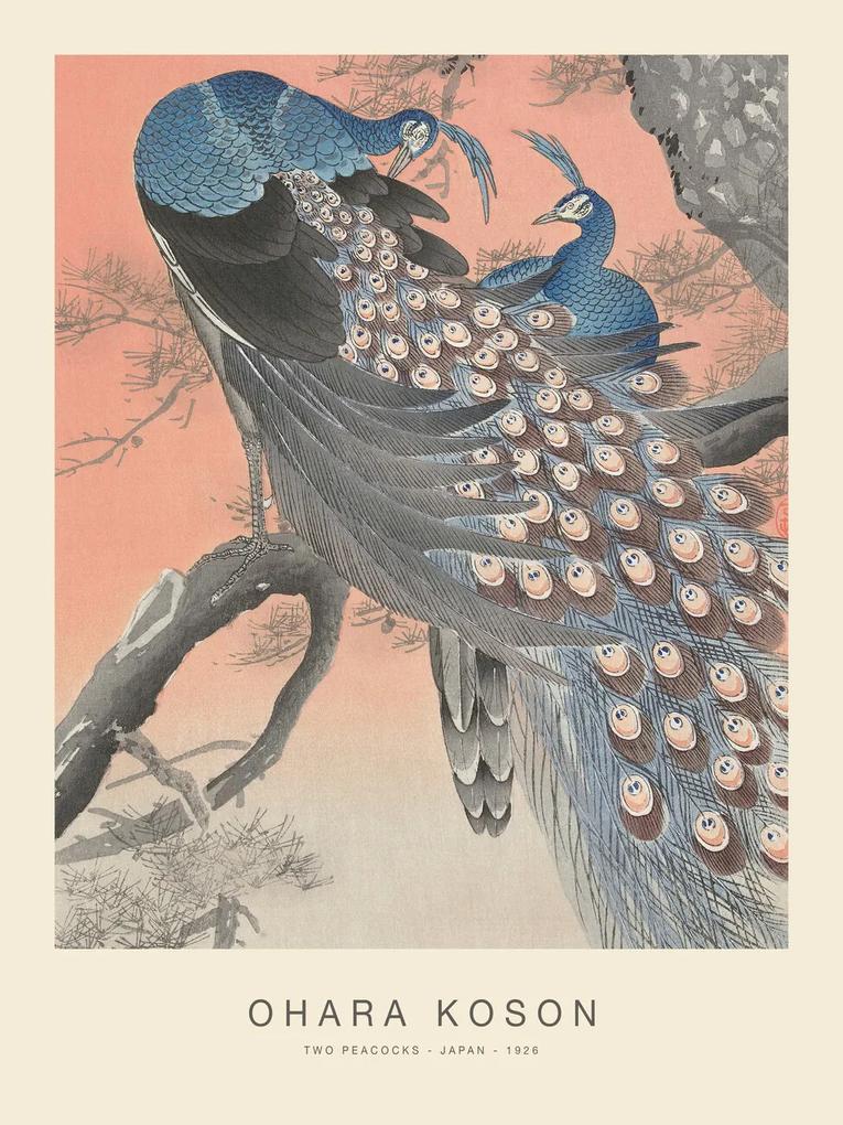 Obrazová reprodukce Two Peacocks (Special Edition) - Ohara Koson copy, (30 x 40 cm)