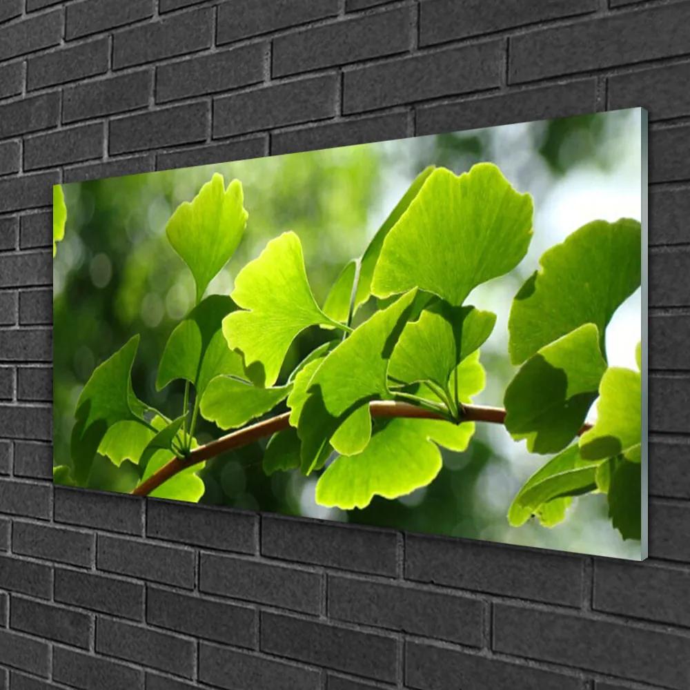 Obraz na skle Větve Listy Příroda Strom 120x60 cm