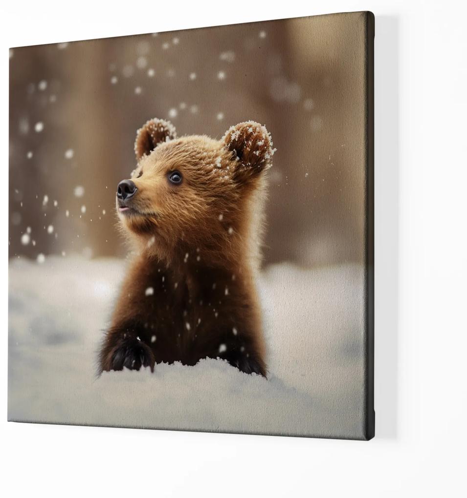 Obraz na plátně - Medvídě pozoruje vločky v lese FeelHappy.cz Velikost obrazu: 120 x 120 cm