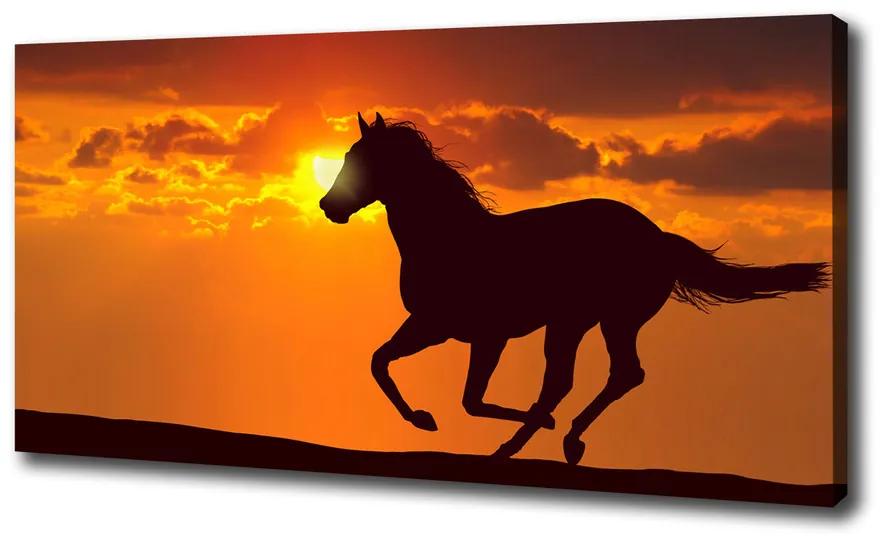 Wallmuralia Foto obraz na plátně do obýváku Kůň západ slunce 100x50 cm
