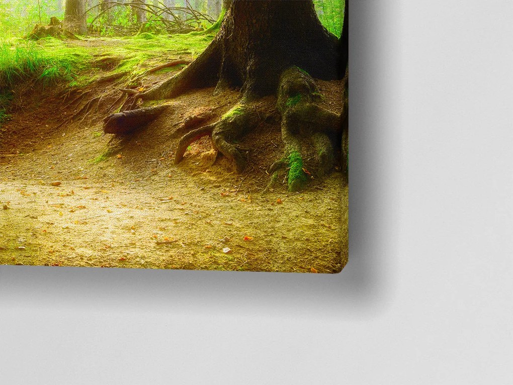 Liox Les v paprscích slunce Rozměr: 150 x 65 cm