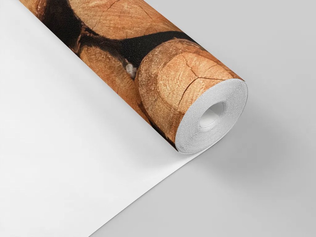 Tapeta kulatiny stromu