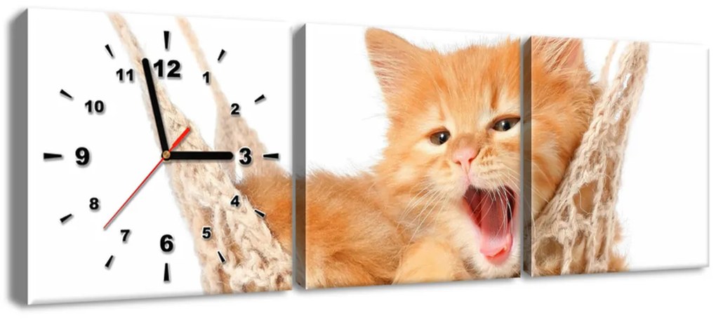 Gario Obraz s hodinami Kotě na houpací síti 90x30cm Velikost: 90 x 30 cm