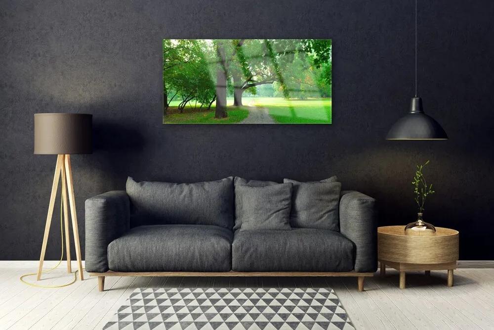 Obraz na skle Stezka Stromy Příroda 125x50 cm