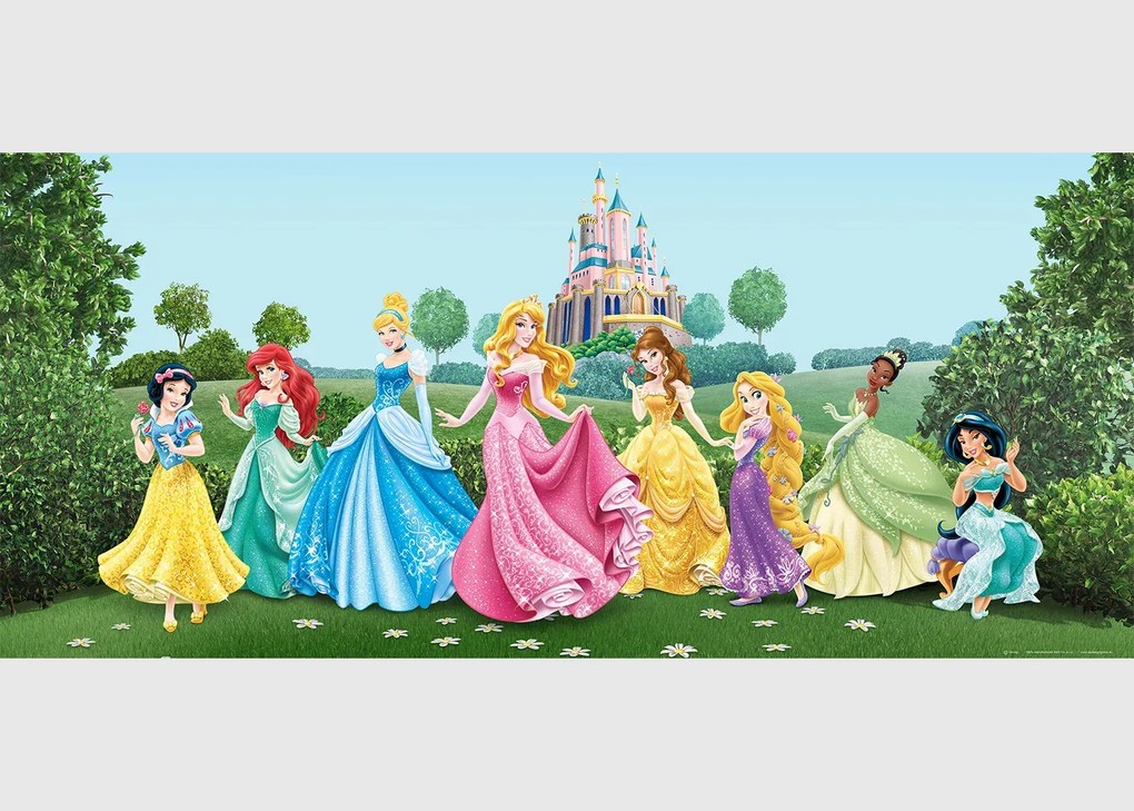 Dětská vliesová fototapeta na zed' Princezny, Disney | 202 x 90 cm | DFTDNH 5325