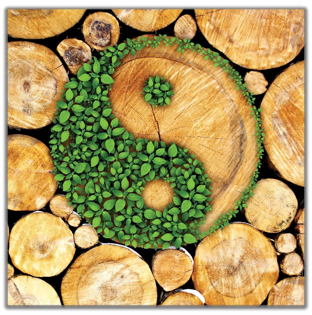 Malvis ® Obraz zelená rovnováha Velikost: třídílný obdélník - 150x100 cm