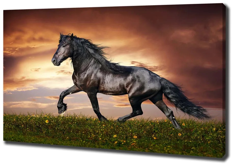 Wallmuralia Foto obraz na plátně do obýváku Klusající kůň 100x70 cm