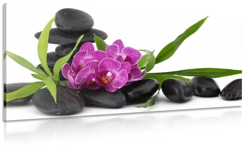 Obraz fialová orchidej v Zen zátiší Varianta: 120x60