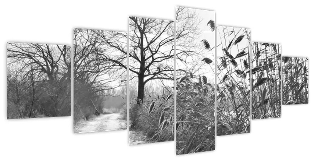 Obraz - Pole v zimě (210x100 cm)