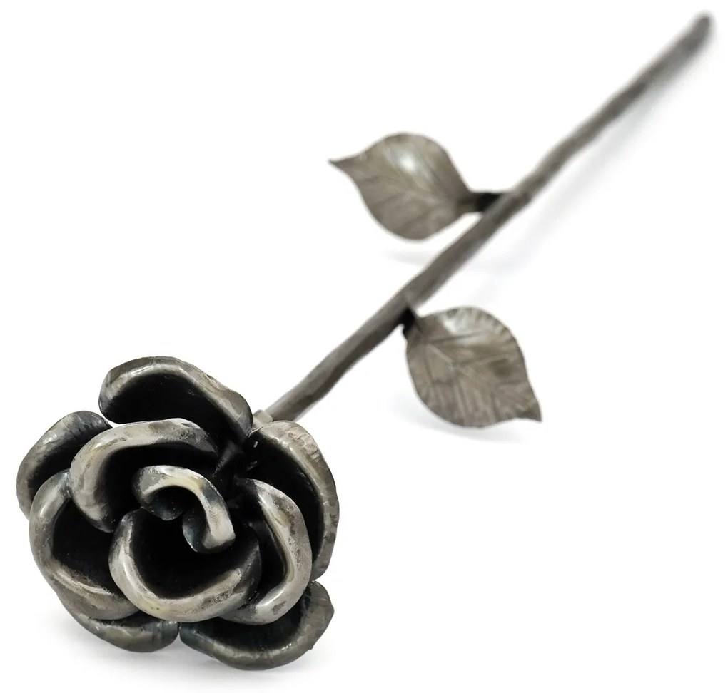 Radotínská Růže kovářská - L (délka 50 - 60 cm)