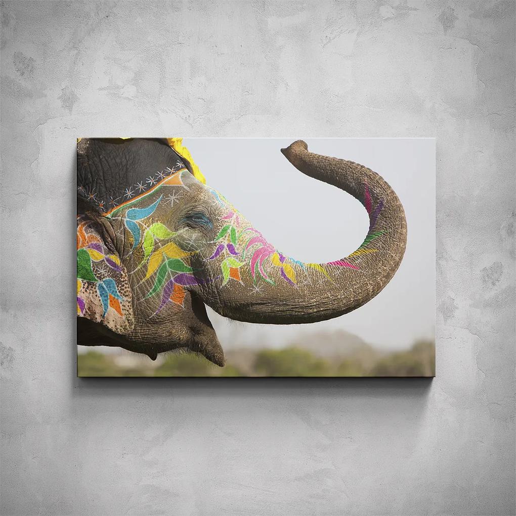 Obraz - Pomalovaný slon - PopyDesign