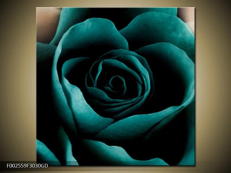 Obraz krásného květu tyrkysové růže (), 40 dalších rozměrů