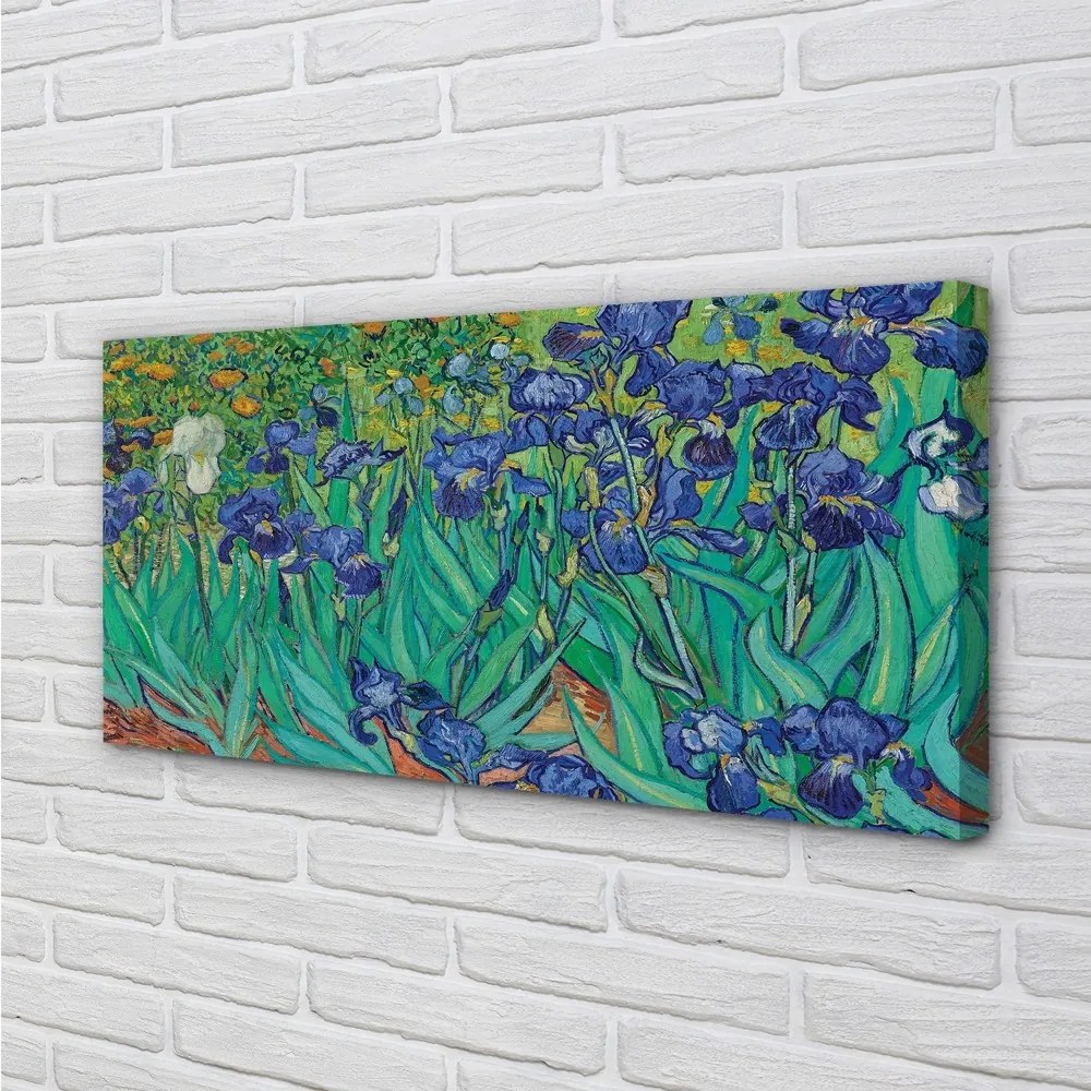 Obrazy na plátně Umění květiny duhovky 120x60 cm