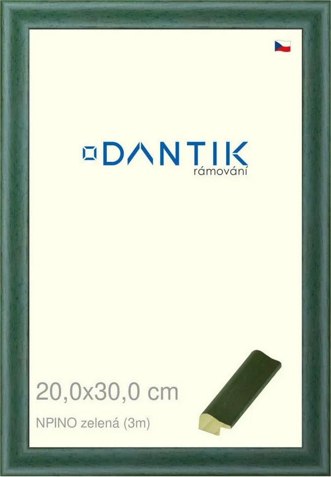 DANTIK rámeček 20x30 | NPINO zelená (Sklo Čiré)