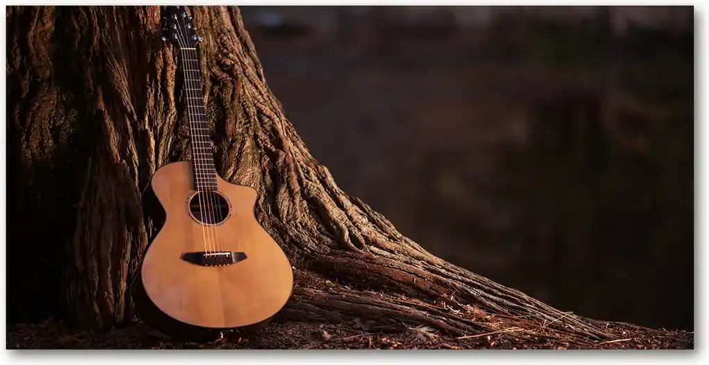Foto-obraz fotografie na skle Akustická kytara | Biano