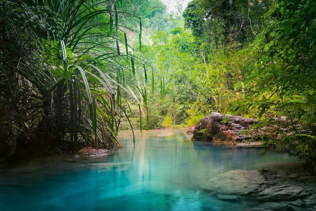 DIMEX | Samolepicí vliesová fototapeta na zeď Průzračná voda v džungli MA-5-1817 | 375 x 250 cm | tyrkysová, zelená, modrá