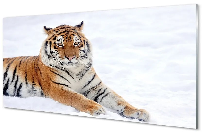 Obraz na skle Tiger winter 100x50 cm