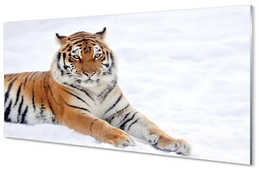 Obraz na skle Tiger winter 120x60 cm
