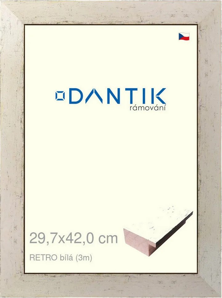 DANTIK rámeček 29,7x42 | RETRO bílá (Plexi Čiré)