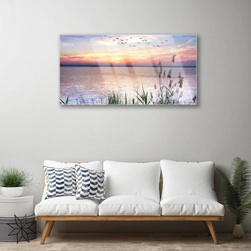 akrylový obraz Moře Ptáci Nebe Krajina 100x50 cm