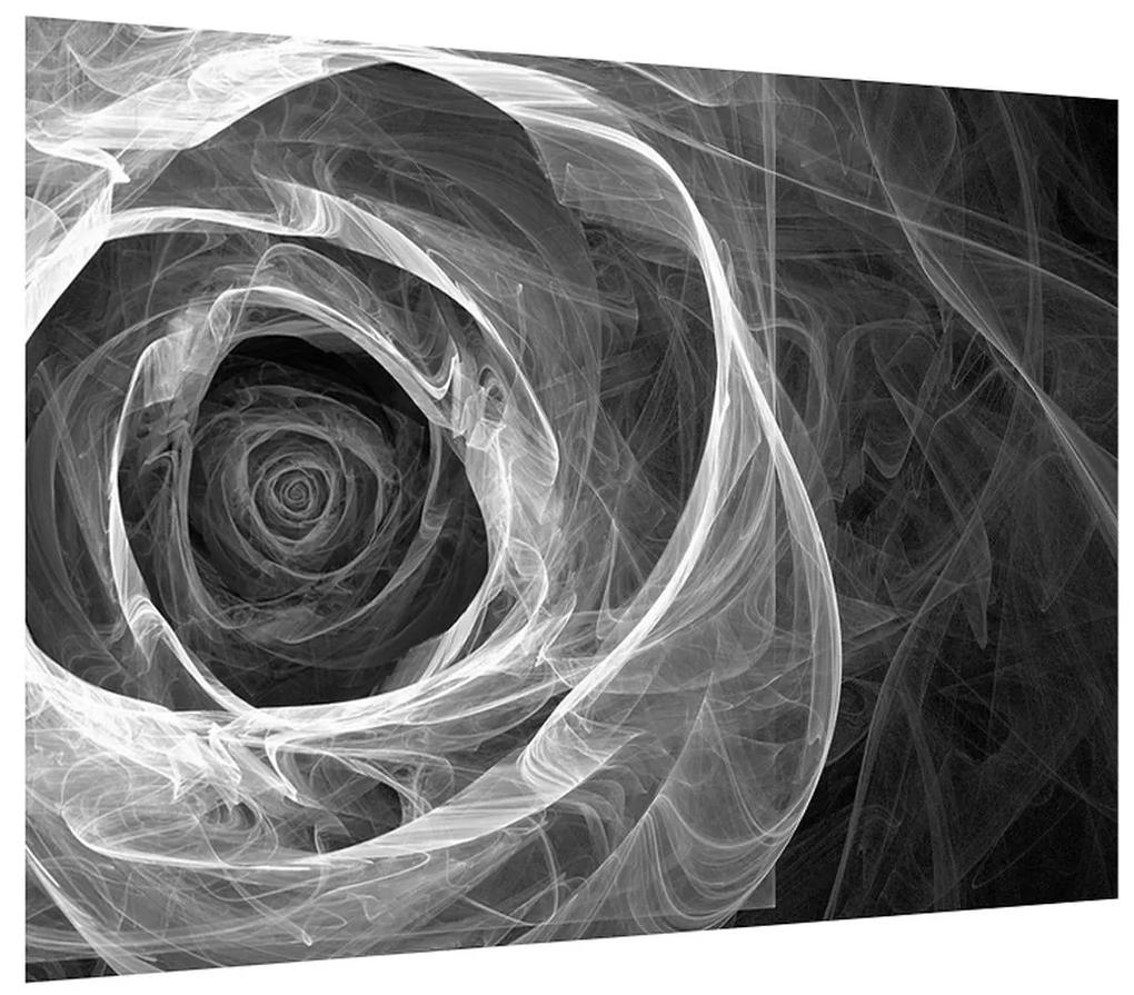 Černobílý obraz abstraktní růže (70x50 cm)