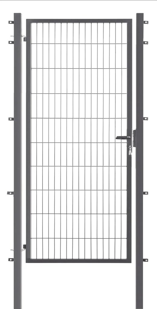 Floraworld Jednokřídlá kovová branka Comfort antracit 200 x 100 cm