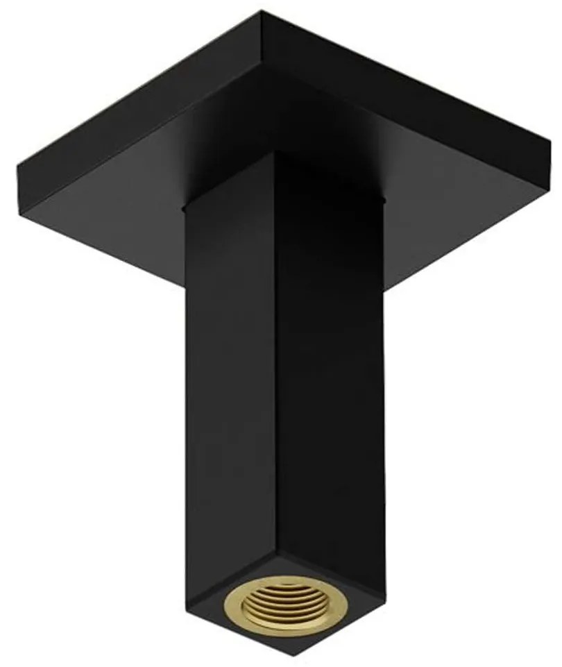 Hansgrohe - Sprchové rameno stropní, 11 cm, matná černá 24338670