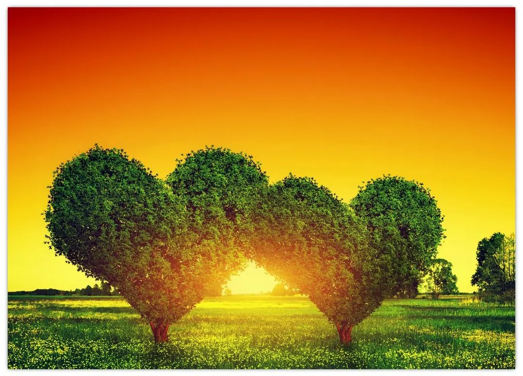 Skleněný obraz - Srdce v korunách stromů (70x50 cm)