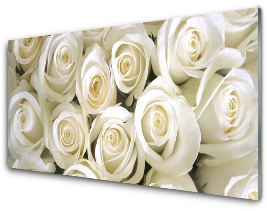 akrylový obraz Růže Květiny Rostlina 125x50 cm