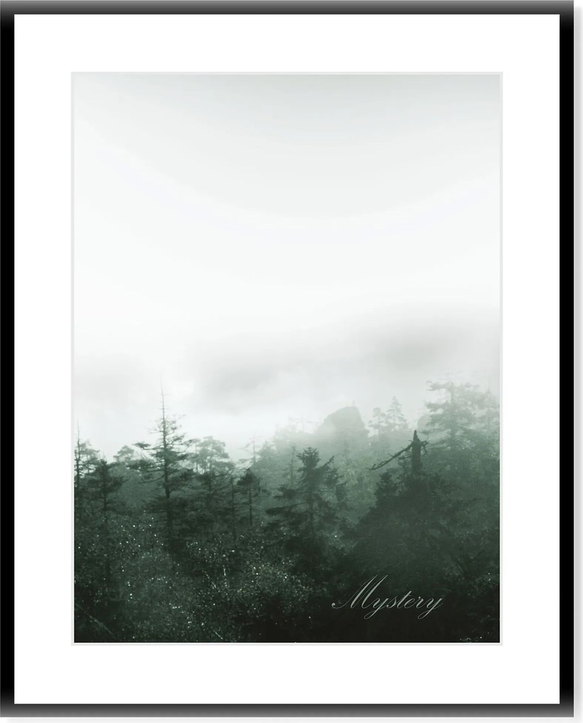 Obraz Mystery 40x50cm