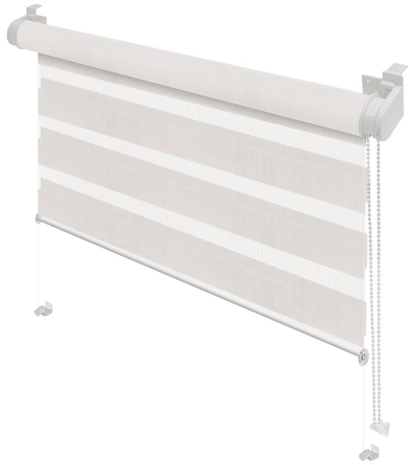 Bílá roleta den a noc 42,5x150 cm Zebra – Gardinia