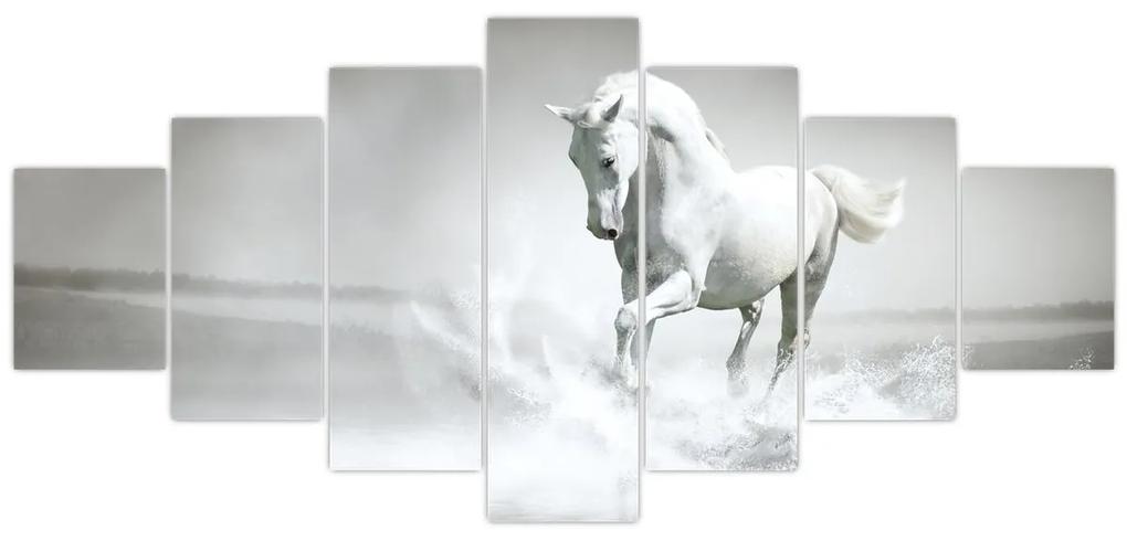 Obraz - Bílý kůň (210x100 cm)