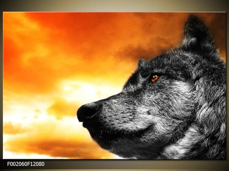 Obraz na plátně Šedý pes, Obdélník 120x80cm 2198 Kč