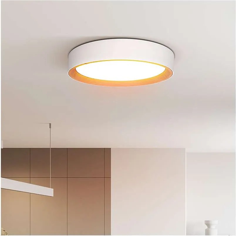 LED stropní světlo s dálkovým ovládáním Larios nastavitelné - průměr 39 cm, bílá