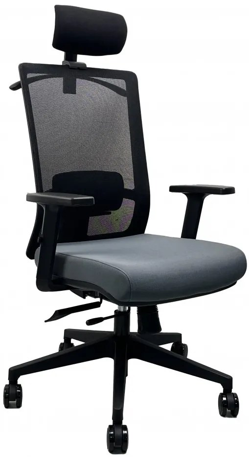 Office Pro Kancelářská ergonomická židle DVIS — více barev Černá