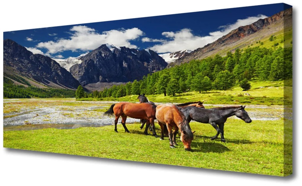 Obraz Canvas Hory Stromy Koně Zvířata