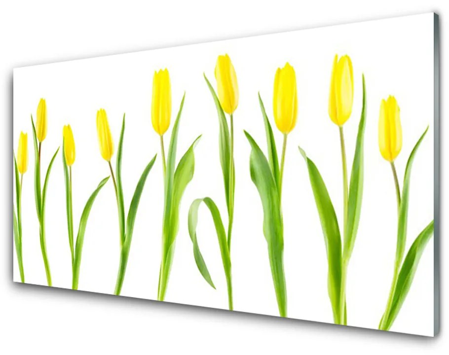 Obraz na skle Žluté Tulipány Květiny 100x50 cm