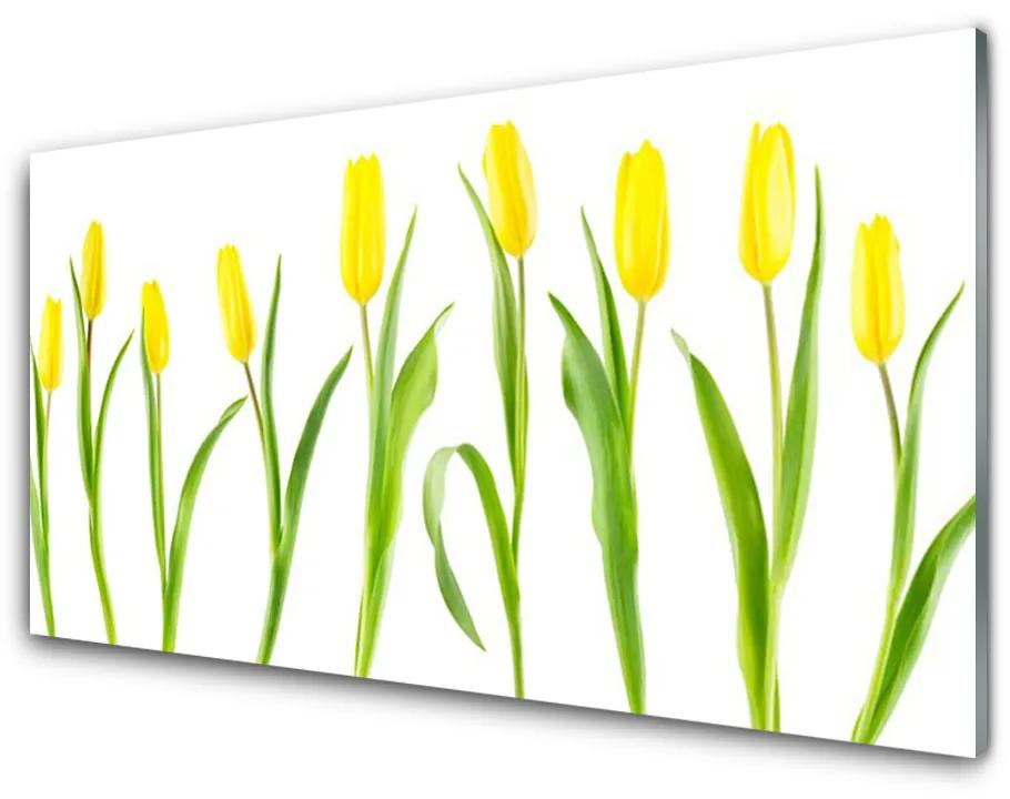 Obraz na skle Žluté Tulipány Květiny 140x70 cm